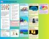 My Curious Brain - Saskatchewan Prevention Institute