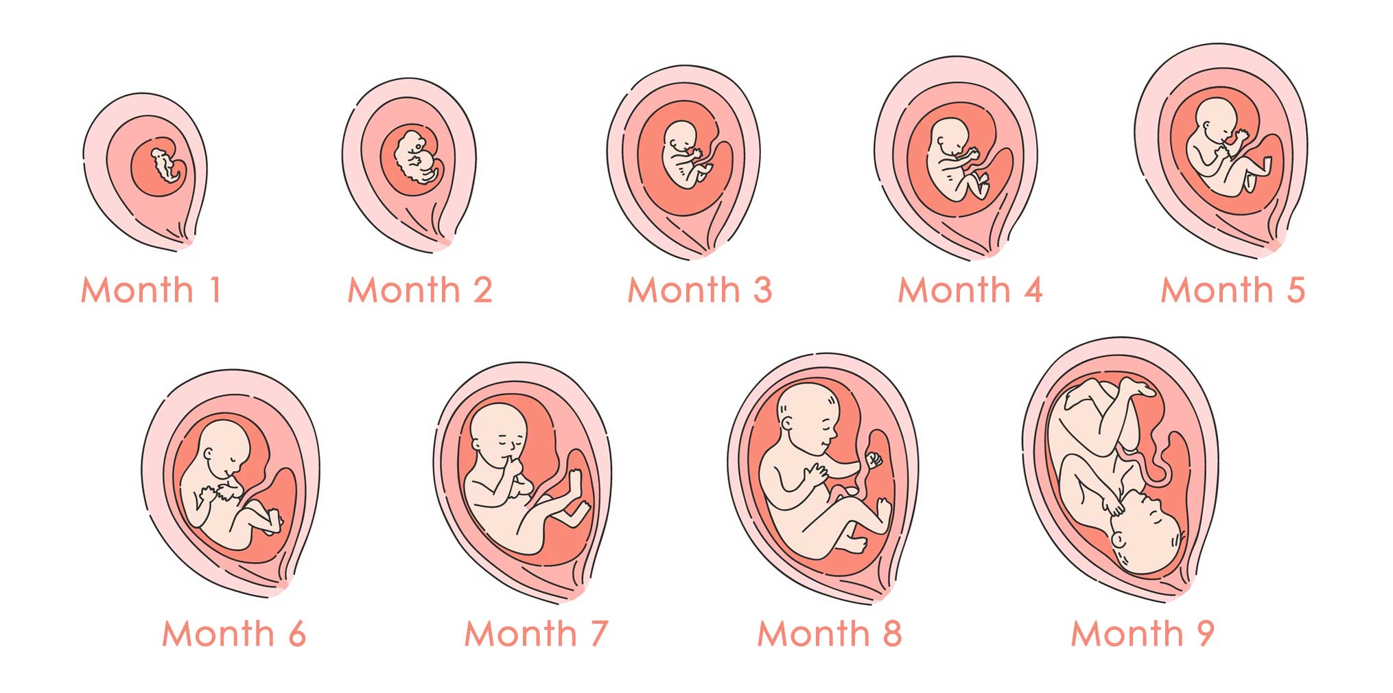 Your Pregnancy: Important Topics - Saskatchewan Prevention Institute