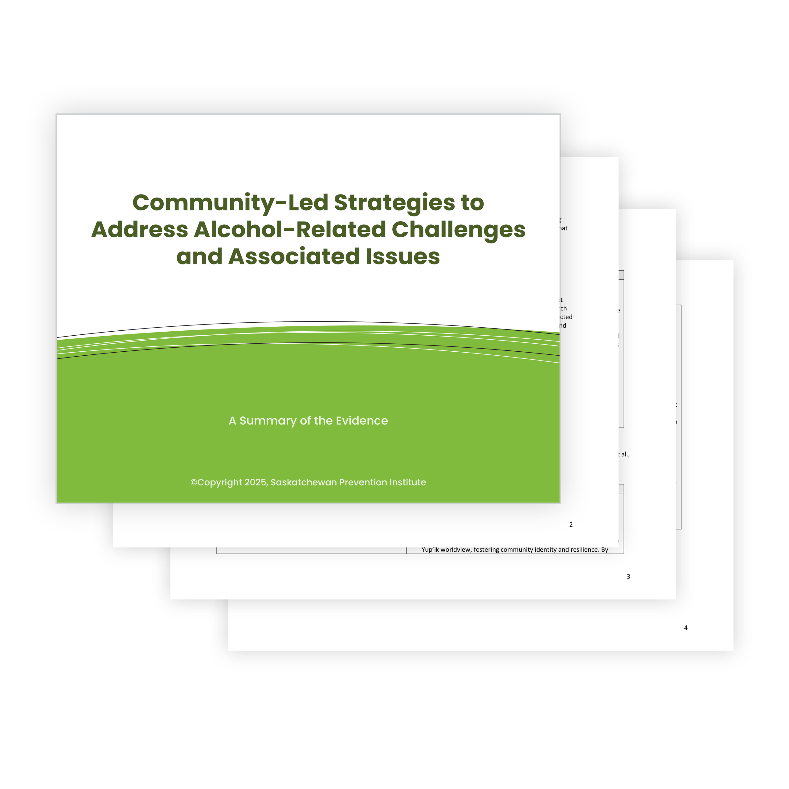 Community-Led Strategies to Address Alcohol-Related Challenges and ...